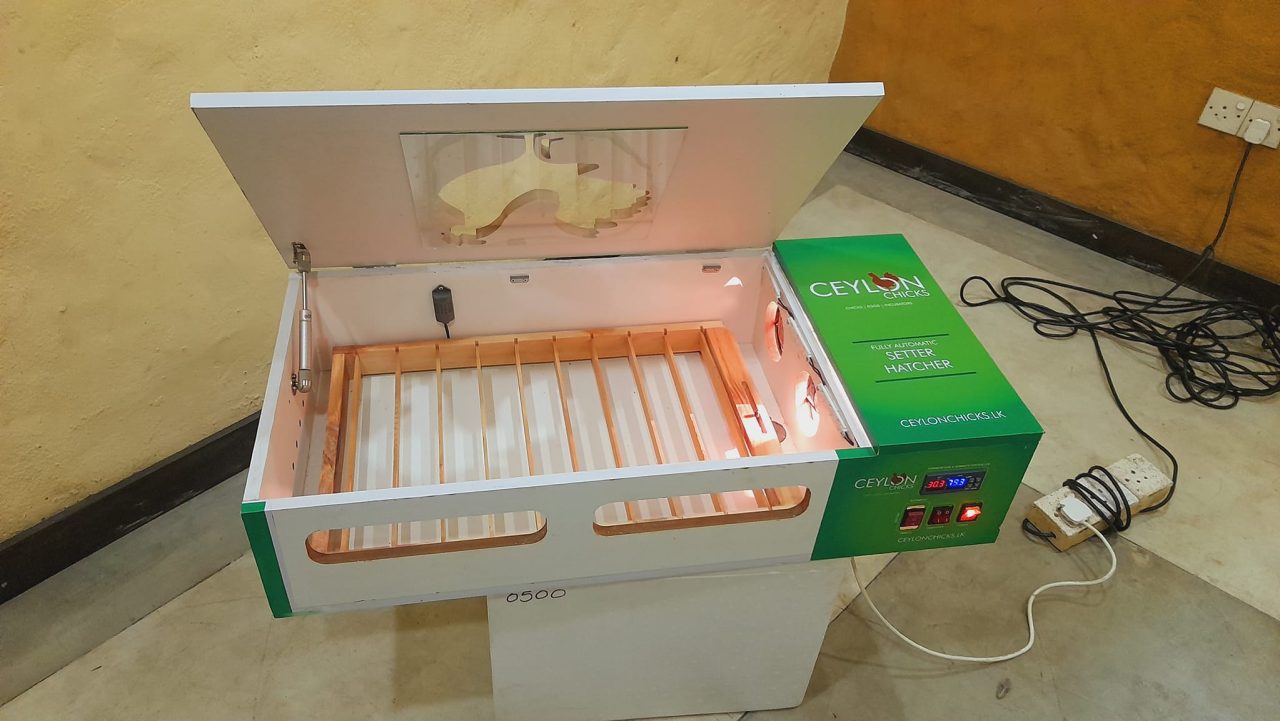 Flat Bed 60 80 Egg Fully Automatic incubator Sri Lanka | Ceylon Chicks