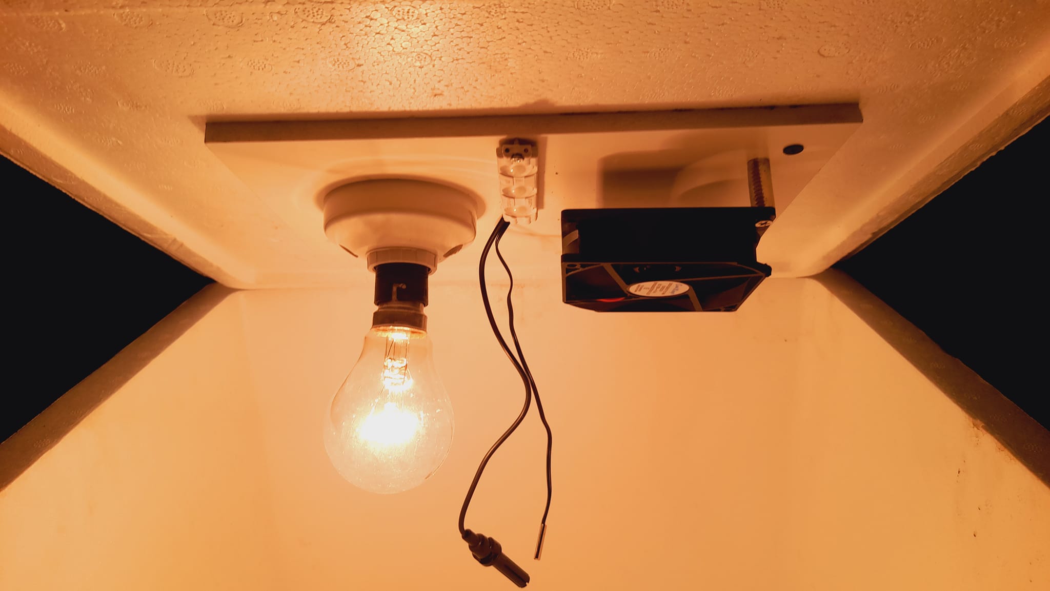 Manual Rigi foam Styro Foam Thermacoal Incubator Inkubator | Ceylon Chicks